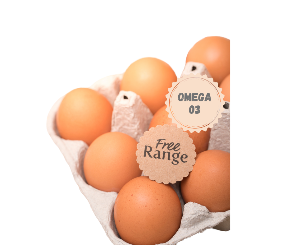 Omega 03 & Free Range Egg | Organik Chicken